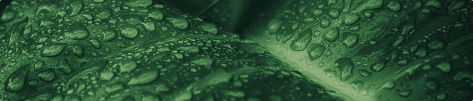 CHPL Sustainability | iZone's Custom High Pressure Laminate Solutions