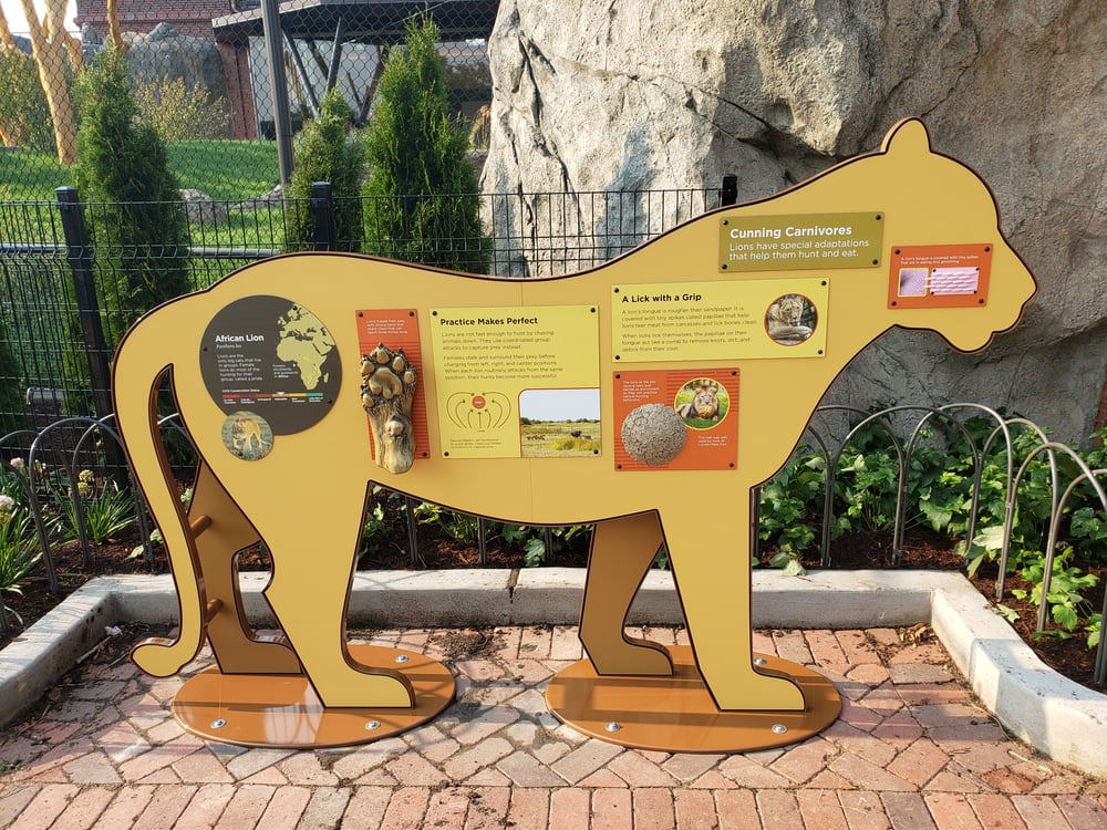 Lincoln Park Zoo - Lion Exhibit